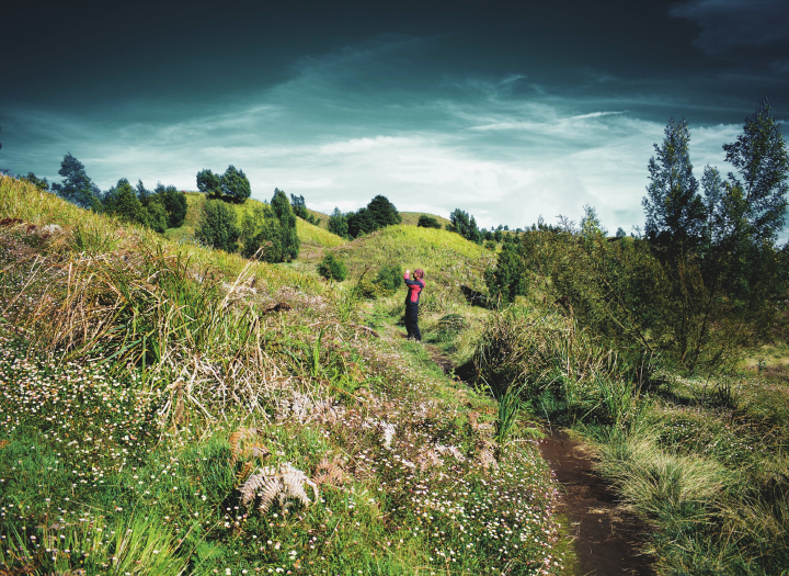 Pureway Biotechnology