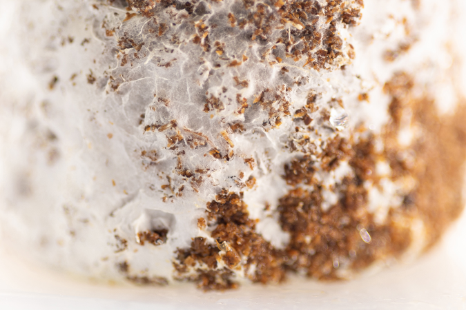 Pureway Biotechnology