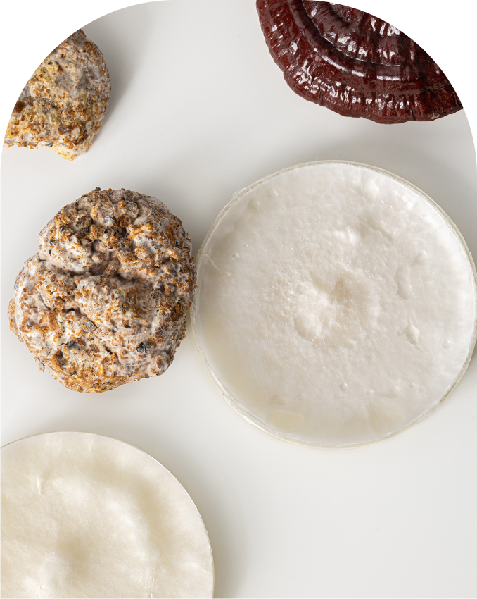 Pureway Biotechnology