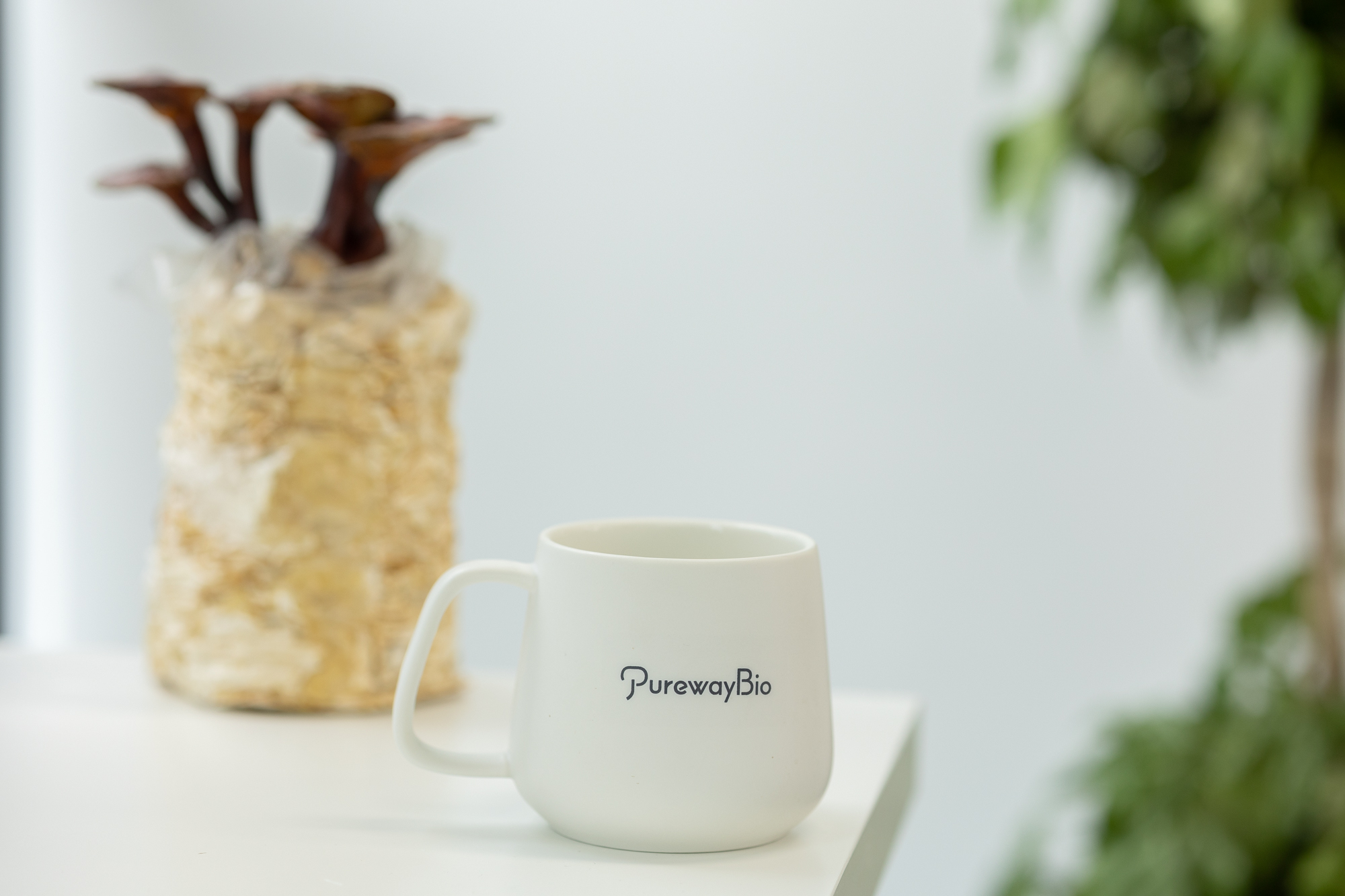 Pureway Biotechnology