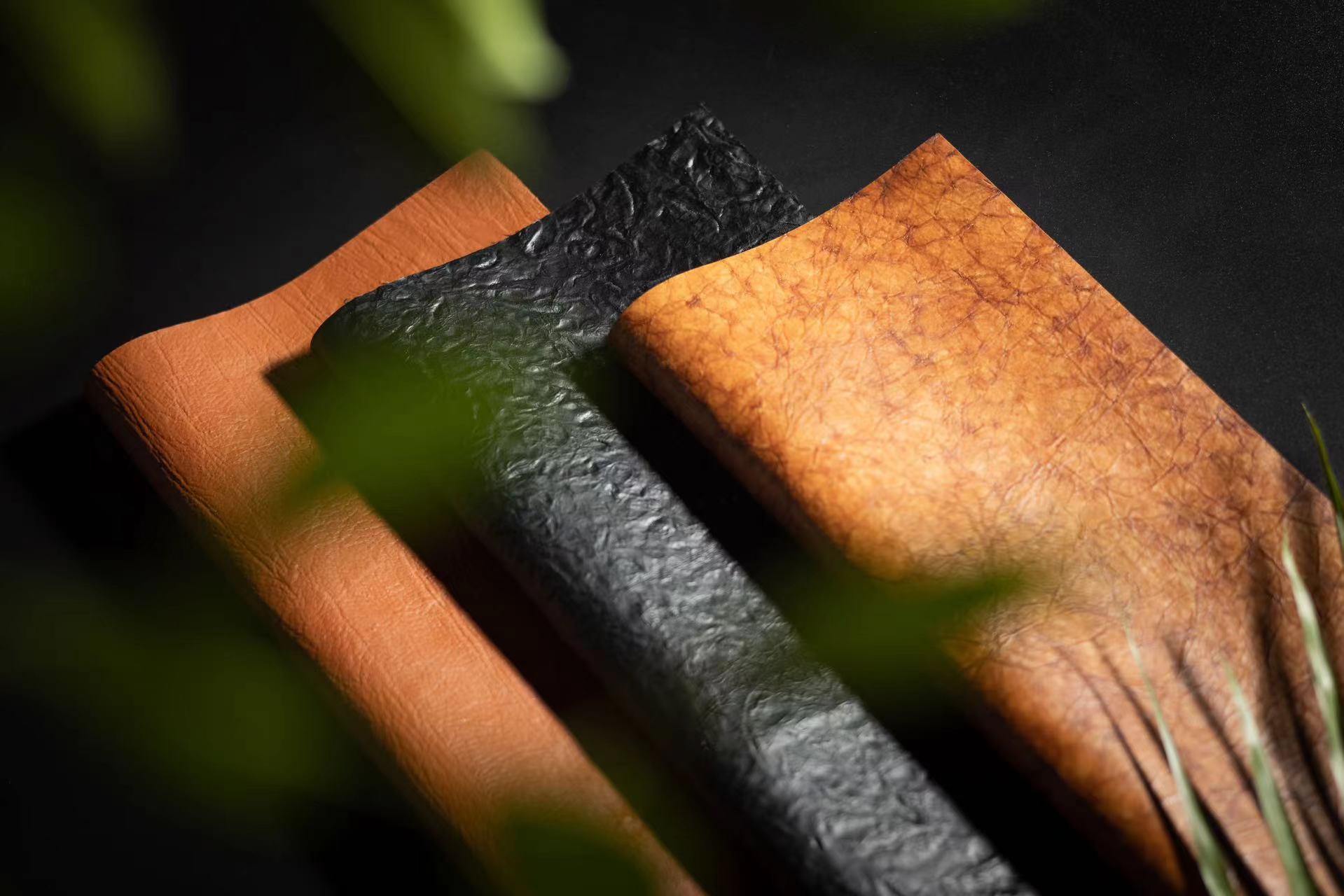 Pureway Biotechnology