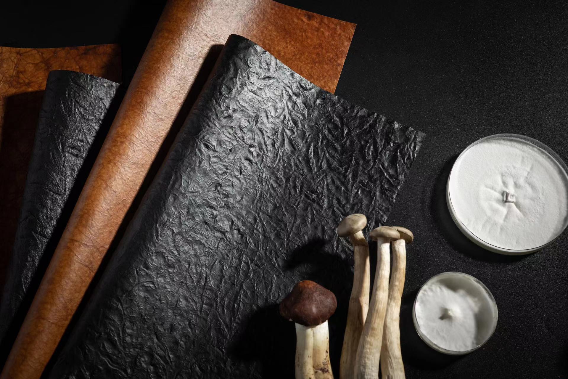 Pureway Biotechnology