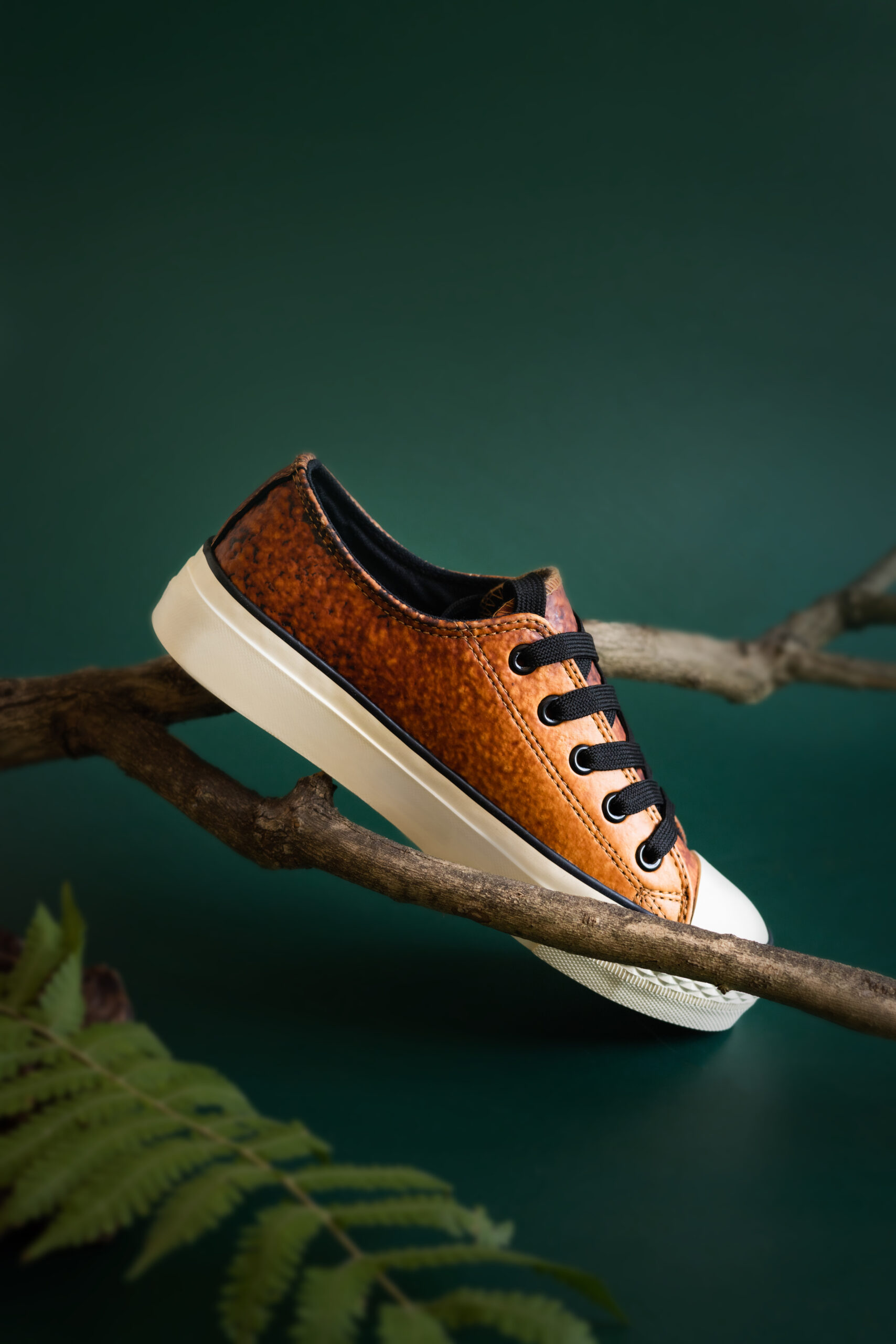 Pureway Biotechnology