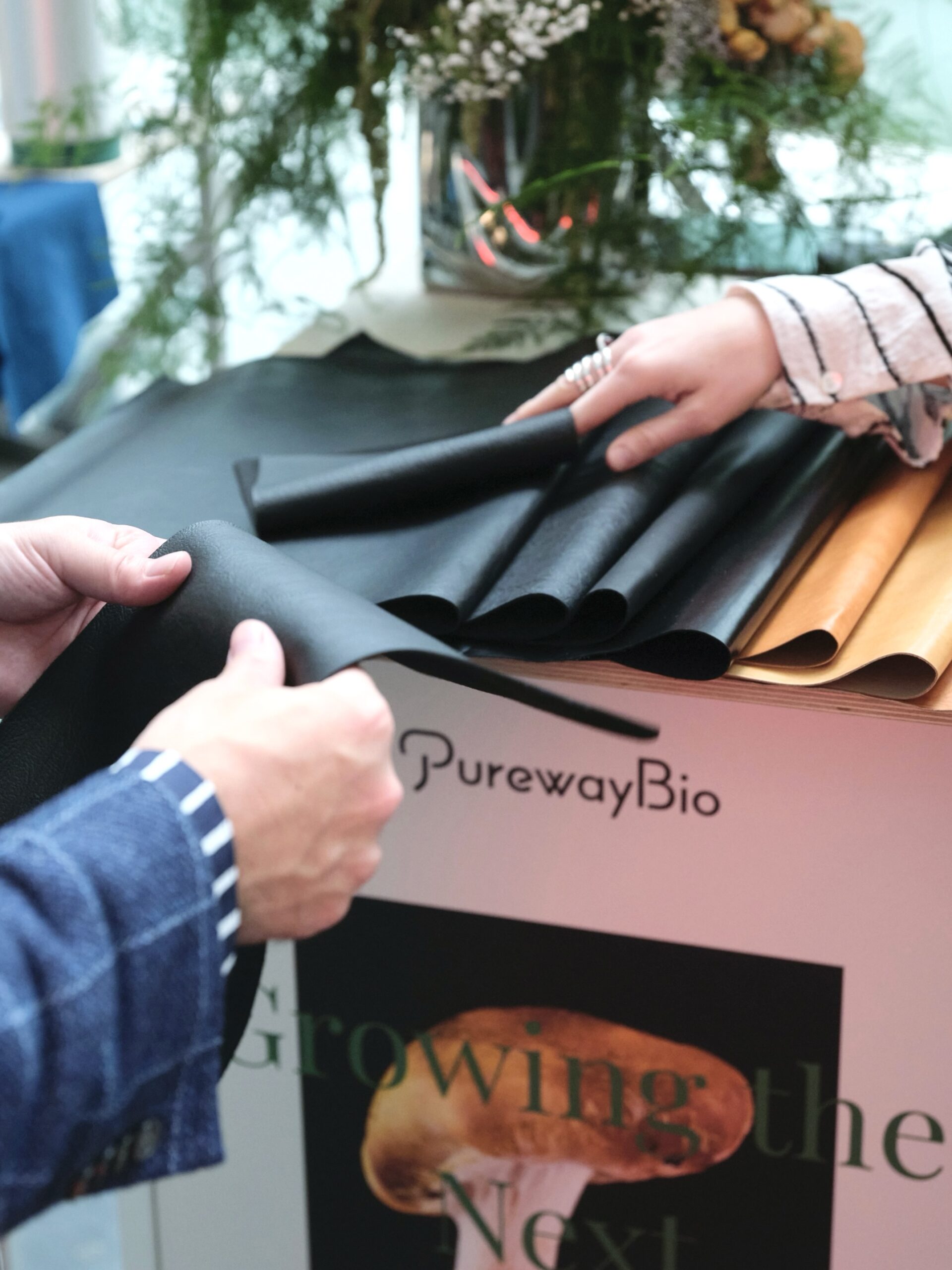 Pureway Biotechnology